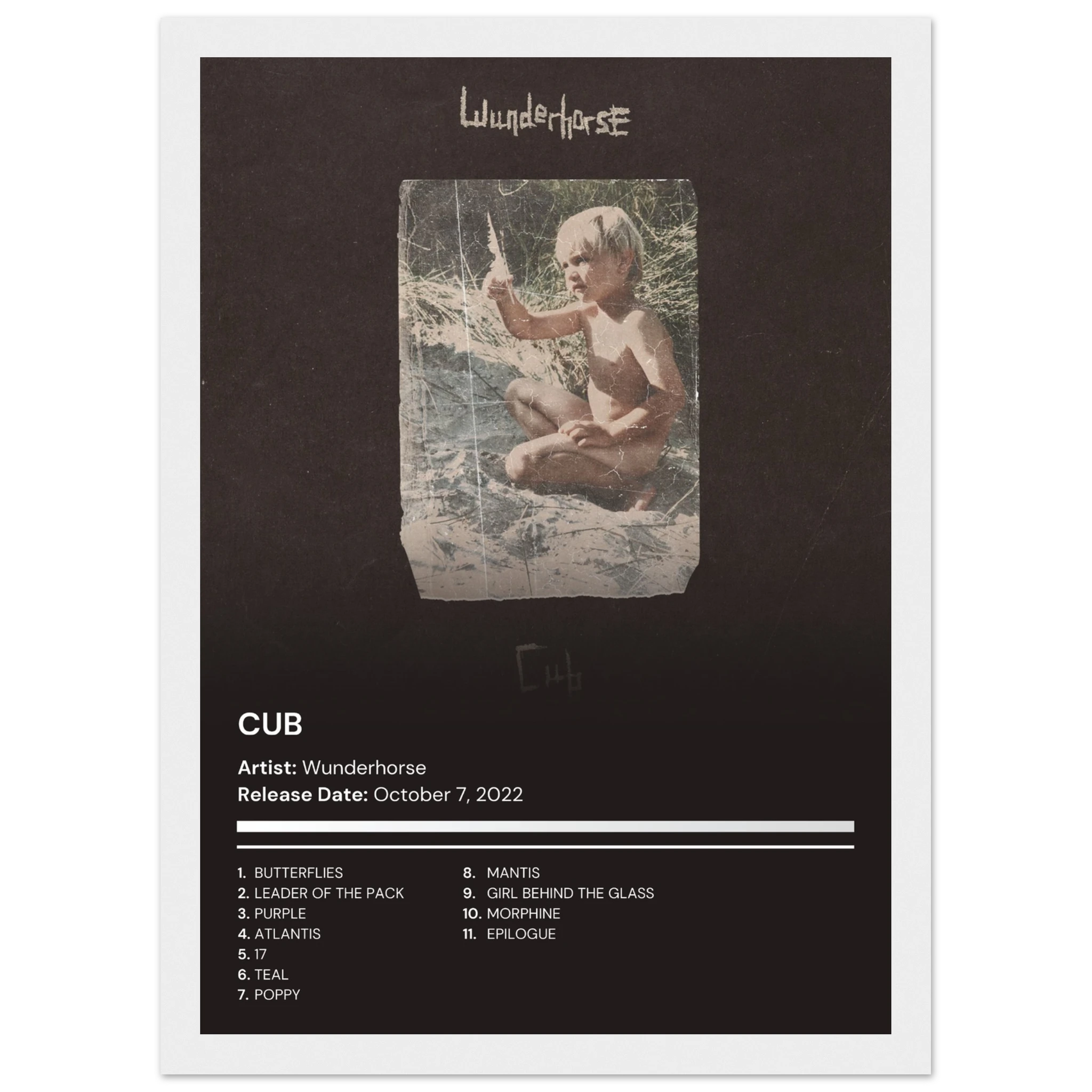 Wunderhorse - Cub - Premium Album Poster With Frame (Full Art ...